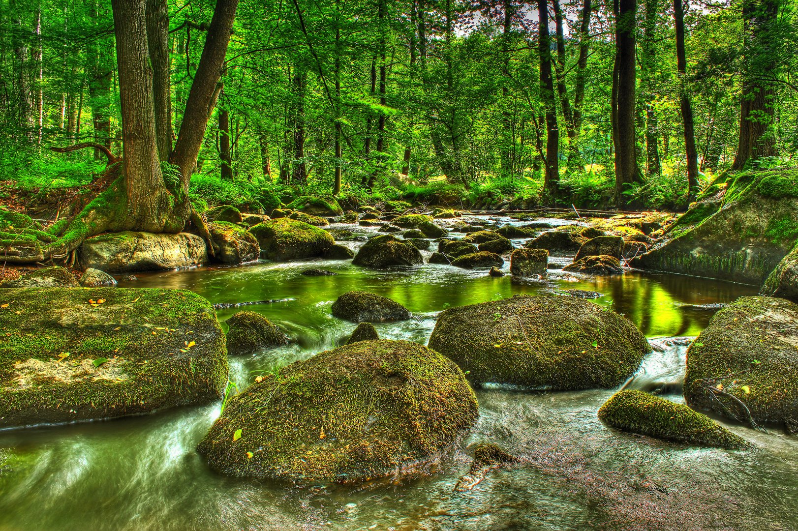 Bach Im Wald Foto And Bild Landschaft Bach Fluss And See Bachläufe Bilder Auf Fotocommunity