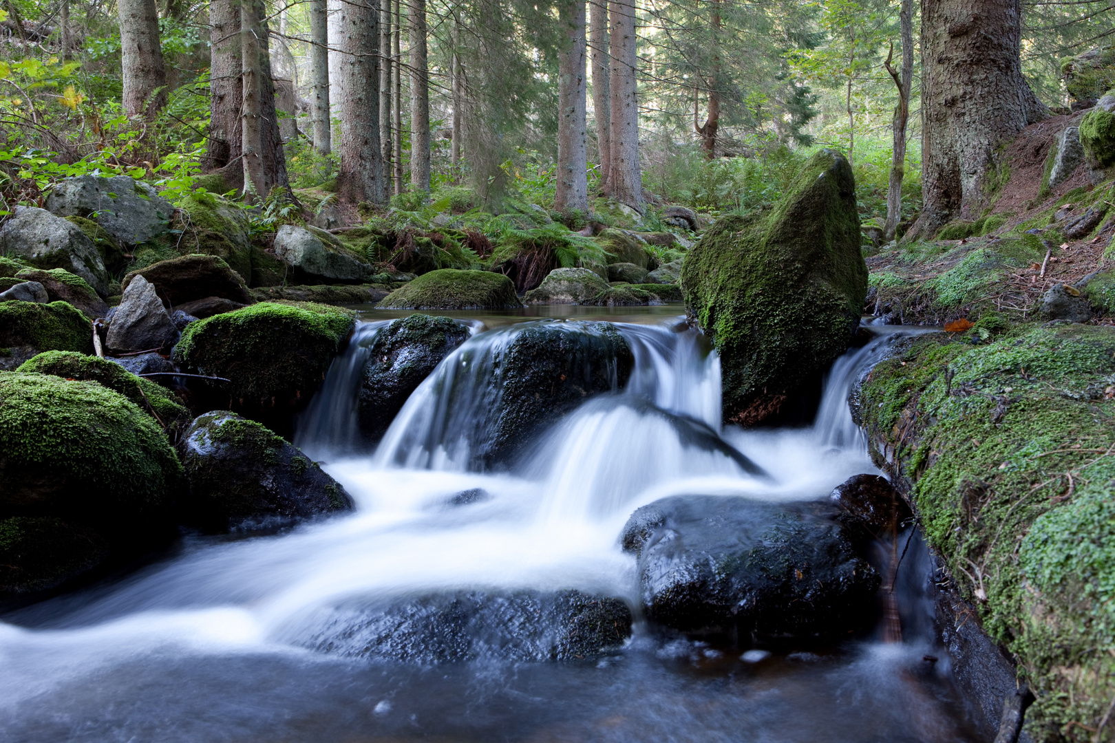 Bachlauf im Bayerischen Wald Foto & Bild | landschaft, bach, fluss & see, bachläufe Bilder auf ...