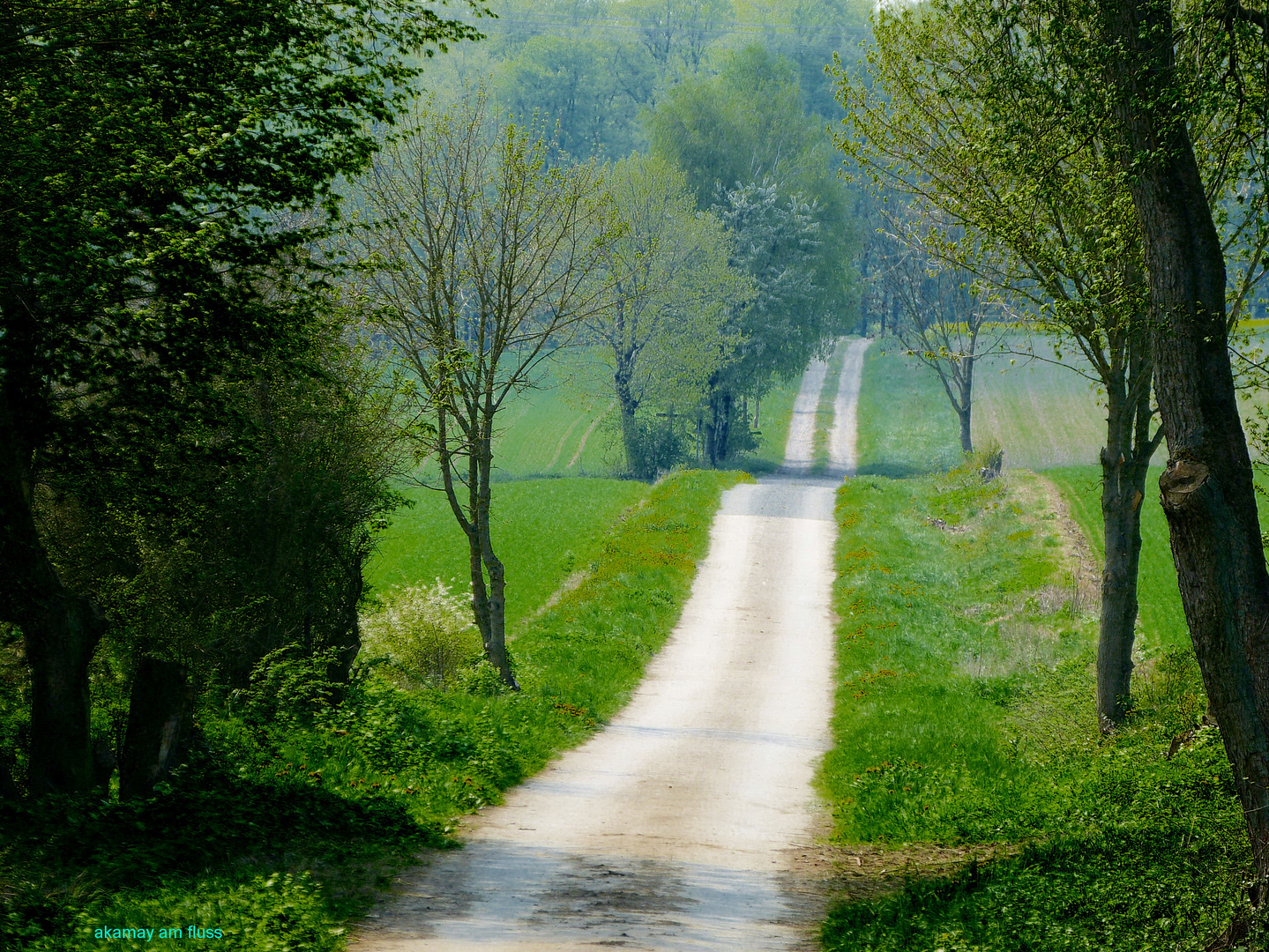 Der Weg Ist Das Ziel Frühling Weserbergland Foto And Bild
