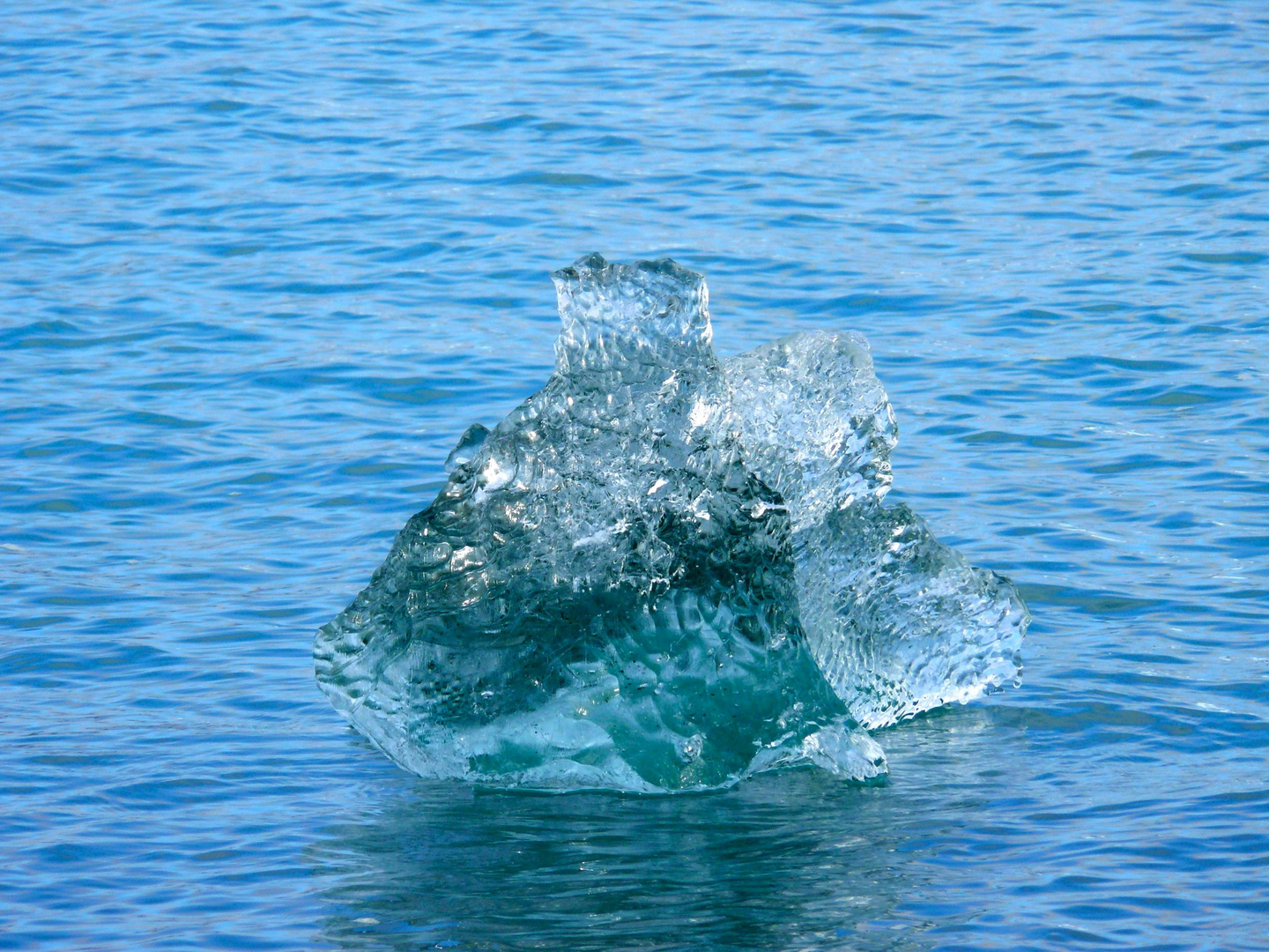 Eisfisch Foto & Bild | naturereignisse, die elemente, fisch Bilder auf ... Eisfisch Foto & Bild | naturereignisse, die elemente, fisch Bilder auf ...
