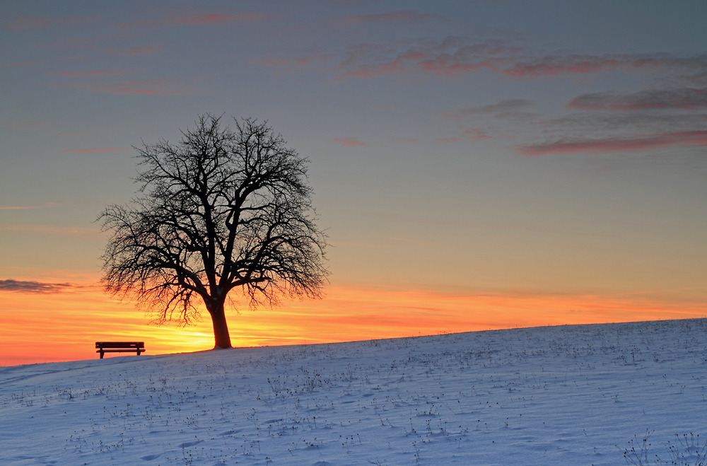 Winterabend Foto & Bild | jahreszeiten, winter, landschaften Bilder auf fotocommunity
