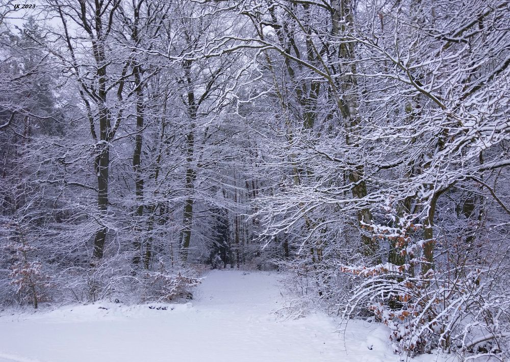 Foto & Bild | jahreszeiten, winter, natur Bilder auf fotocommunity