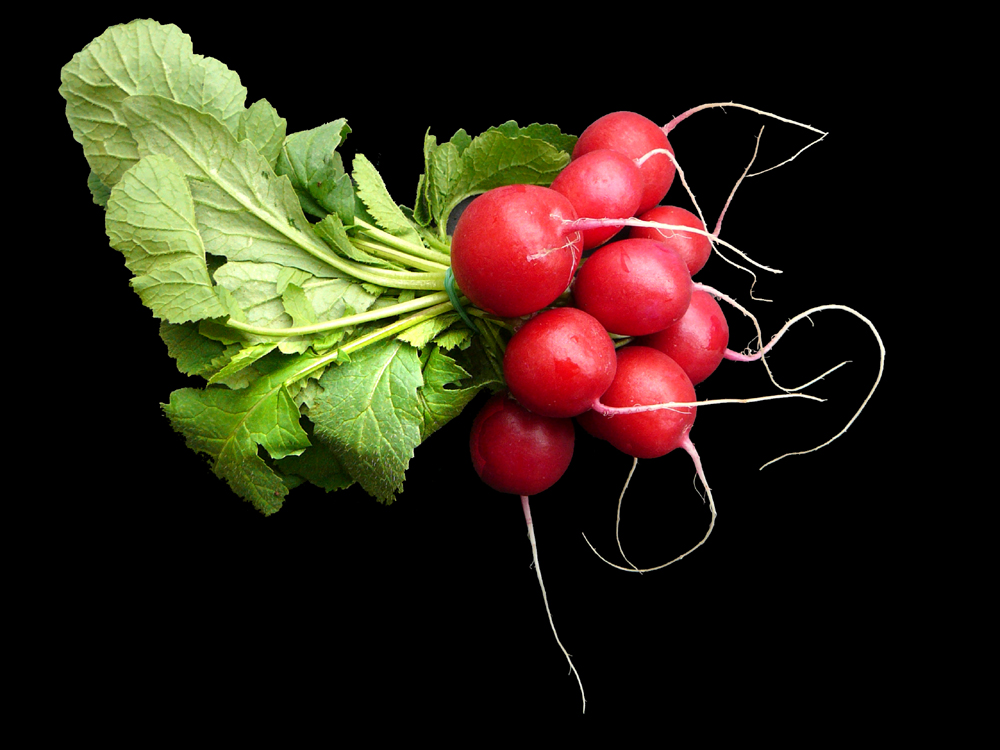 026 RAVANELLI Foto % Immagini| piante, fiori e funghi, fiori, natura ...