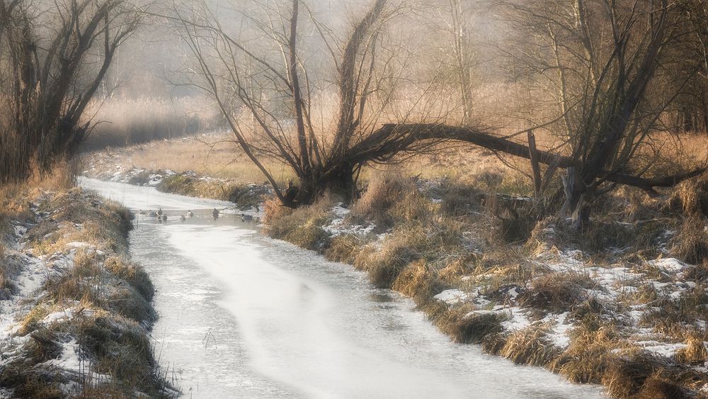 ** Foto & Bild | fotokunst, winterzeit, kalt Bilder auf fotocommunity