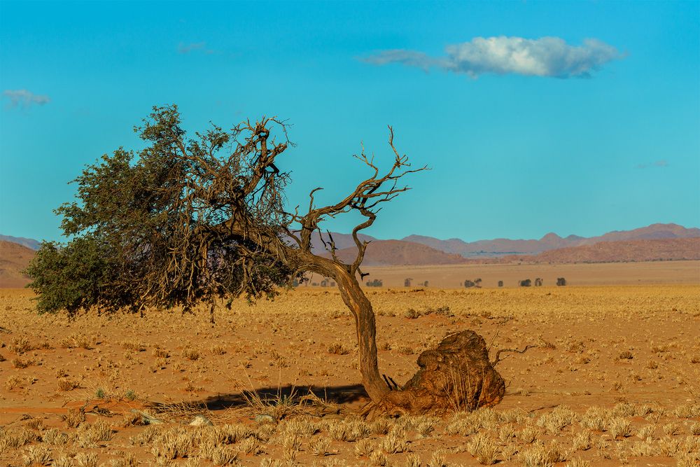 07. Kanaan Foto & Bild | africa, southern africa, namibia Bilder auf ...