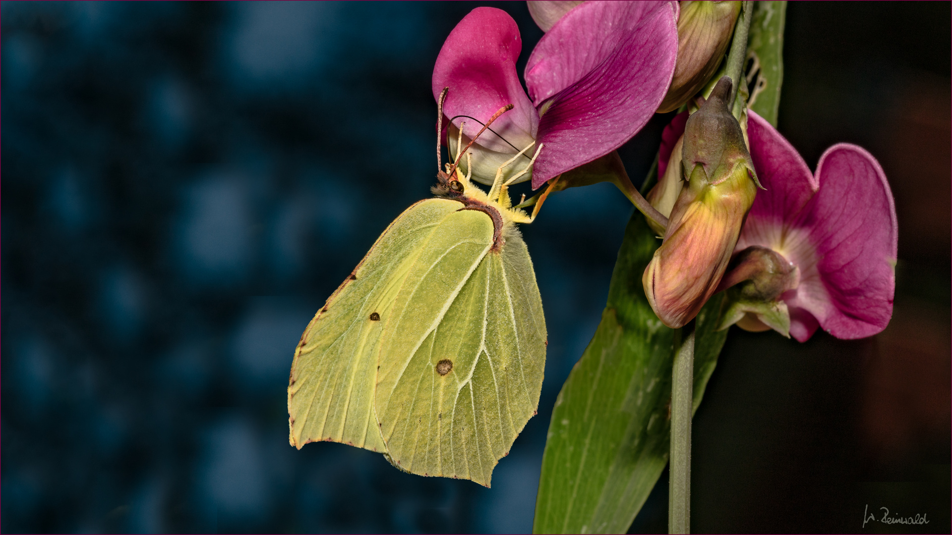 - 1 - Foto & Bild | spezial, makro, tiere Bilder auf fotocommunity