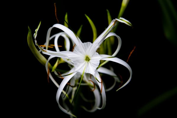 Michael Meinert - Fotos & Bilder - Fotograf aus judenbach, Deutschland ...