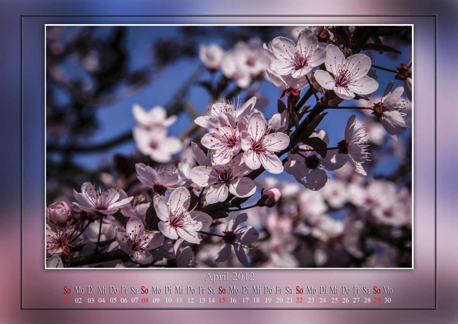 1. APRIL Foto & Bild | karten und kalender, fotokalender, collagen ii ...