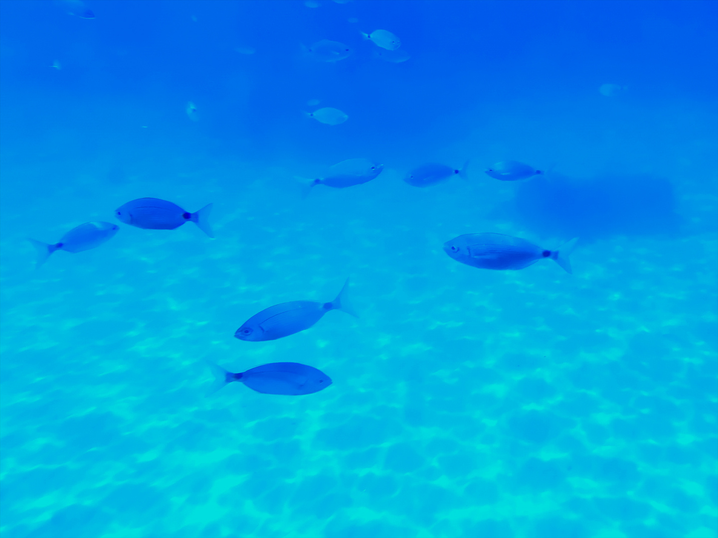 1-Blue Monday Foto & Bild | projekte, 1 - montag - blue monday, thementage Bilder auf fotocommunity