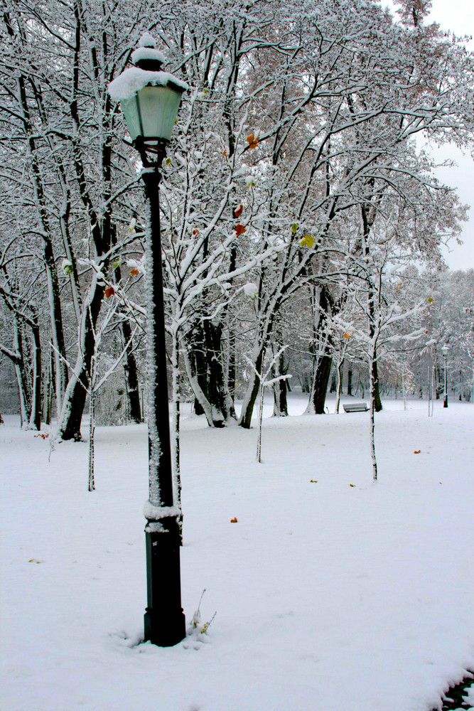 1. Januar Foto & Bild | karten und kalender, neujahrswünsche ...