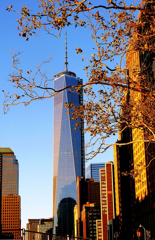 1 WTC - One World Trade Center Foto & Bild | north america, united ...