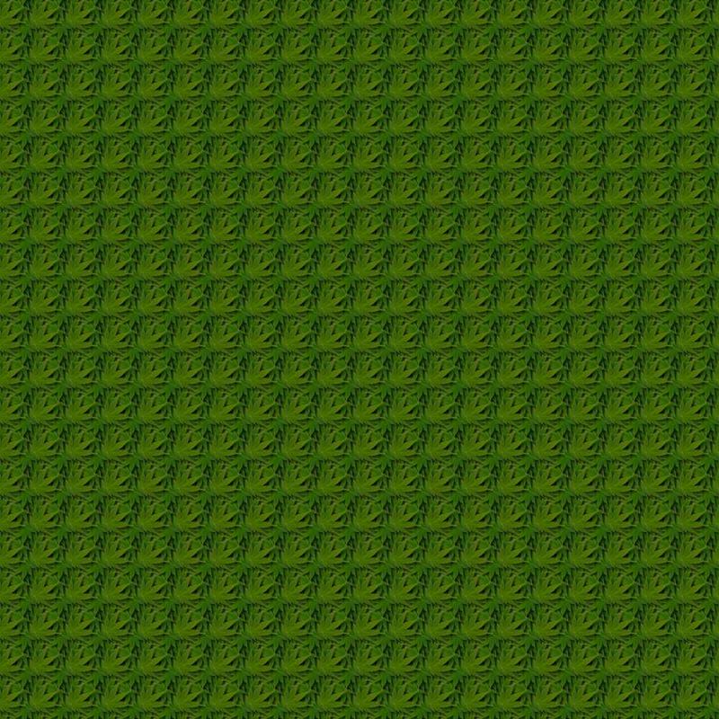 1000x1000px, 150KB plus 1 Byte Foto & Bild | tips & tricks Bilder auf ...