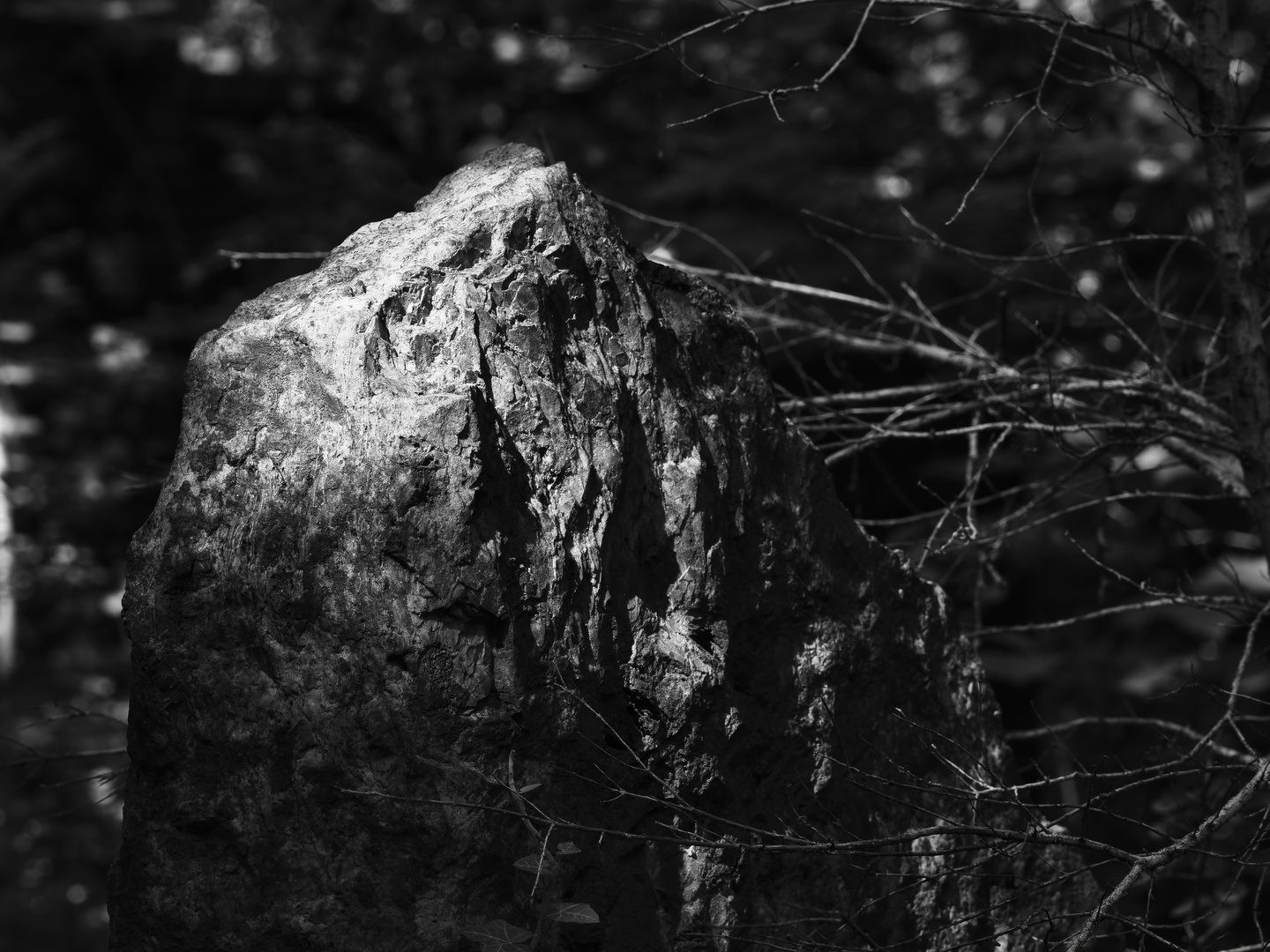_1030953 X 2. K. Foto & Bild | projekte, monochrom, bearbeitungs - techniken Bilder auf ...
