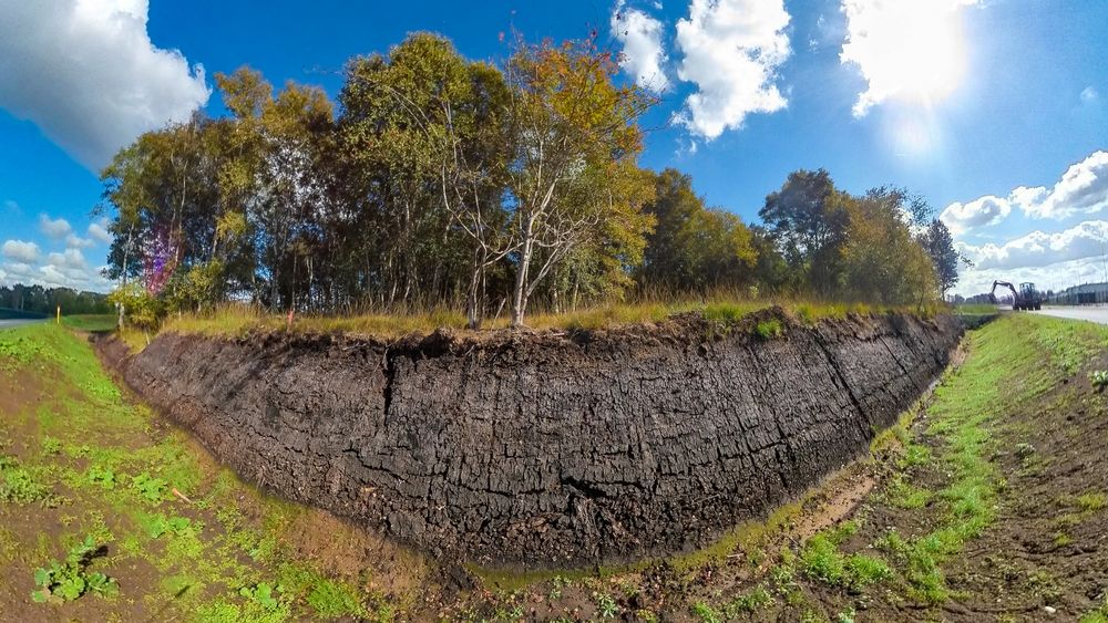 11000 Jahre Erdgeschichte in Ostfriesland Foto & Bild | natur ...