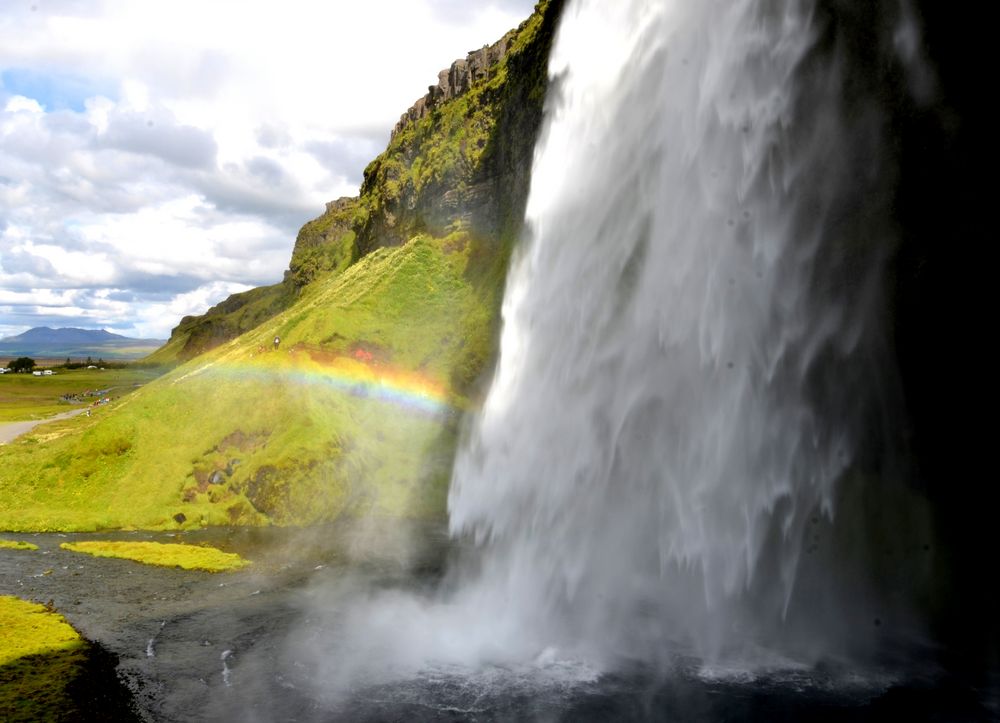 11.8. 15 5 (8) Foto & Bild | archiv projekte naturchannel ...