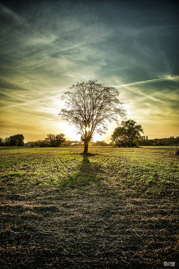 1,2, tree,... Foto & Bild | landschaft, natur, fotos Bilder auf ...