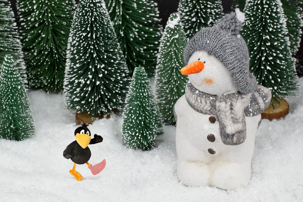 13. Dezember Foto & Bild | weihnachten, spezial, dezember Bilder auf ...