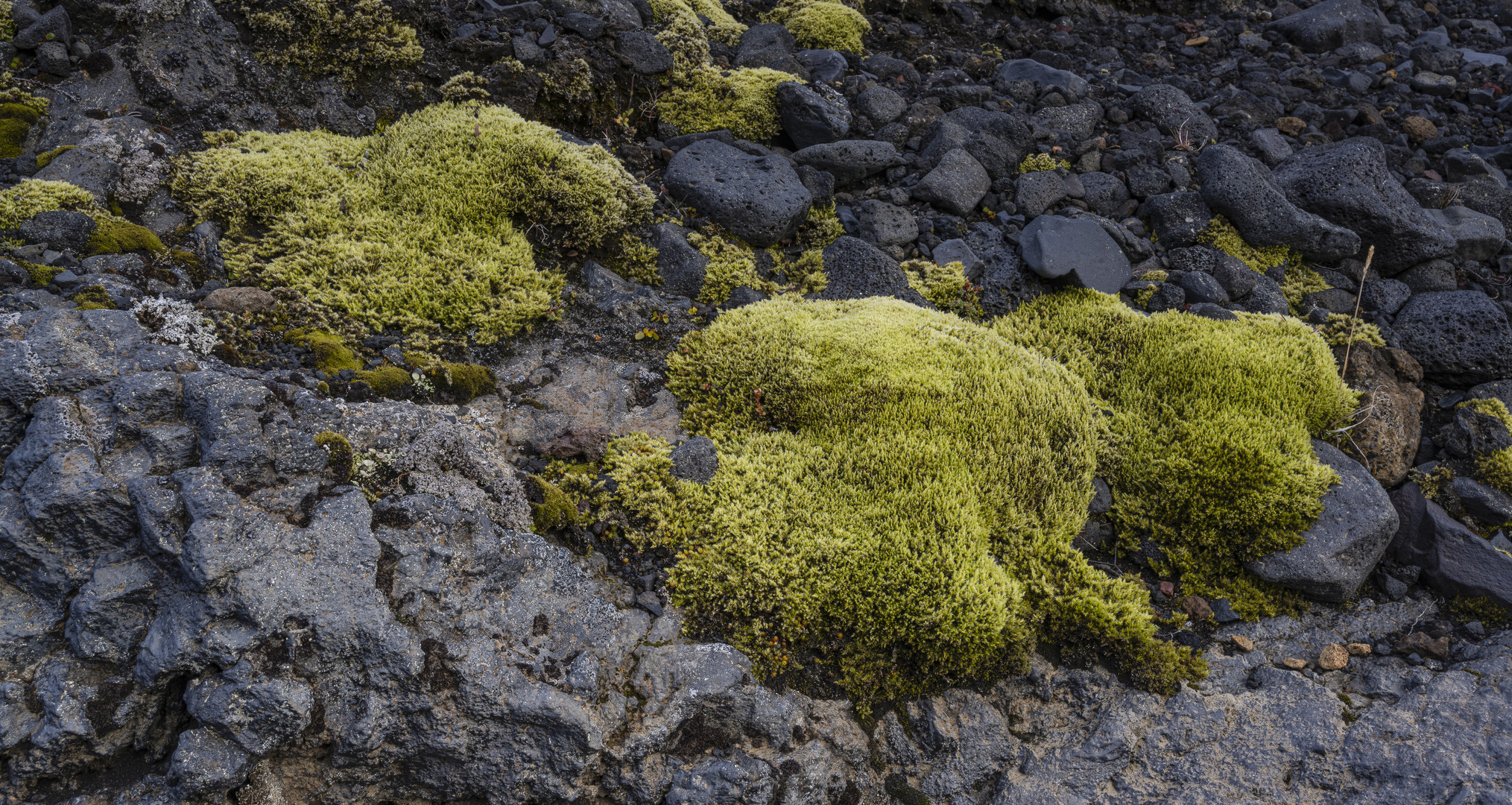 1381 Von basaltischer Lava,Alteration,Tuffen und Lapilli Foto & Bild ...