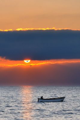 Alessandro Gitto - Fotos & Foto - Autore di Collesalvetti, Italia ...