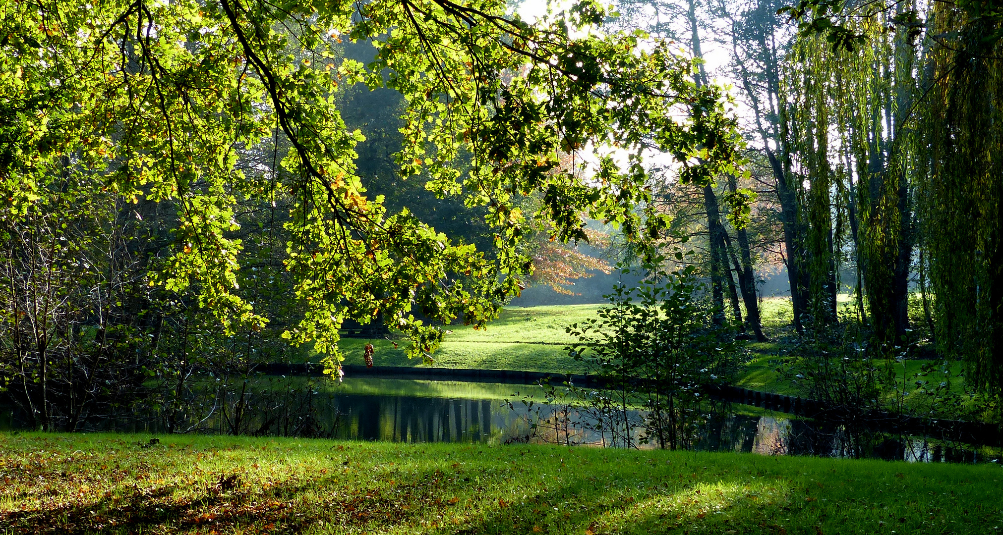 1_Visite au Parc. photo et image | paysages, paysages de campagne ...
