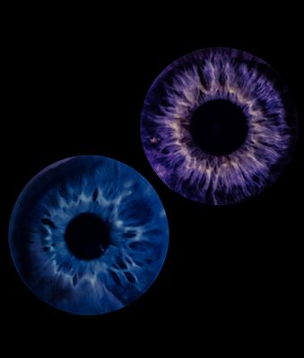 Augen Bilder & Fotos