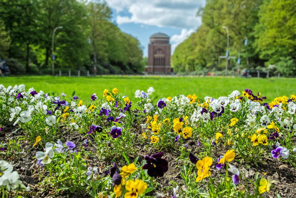 2-Hamburger Stadtpark Impressionen Foto & Bild | deutschland, europe ...