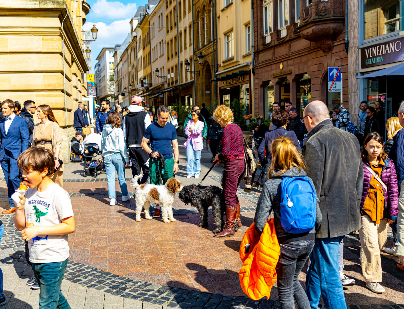 2 Hunde in der City von Luxenburg Foto & Bild | europe, benelux, streetfotografie mit menschen ...