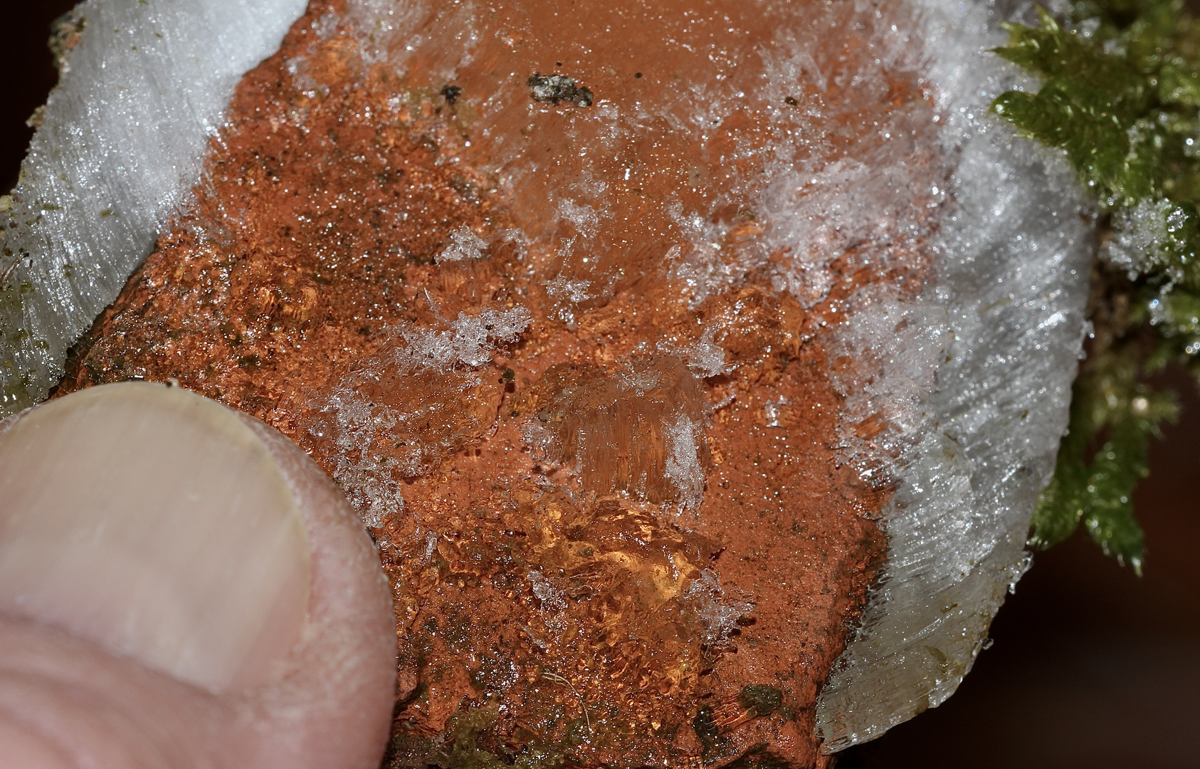 (2) "Pebble ice" im Winter 2024/25 in Neukappl und Binkenhof/Opf ...