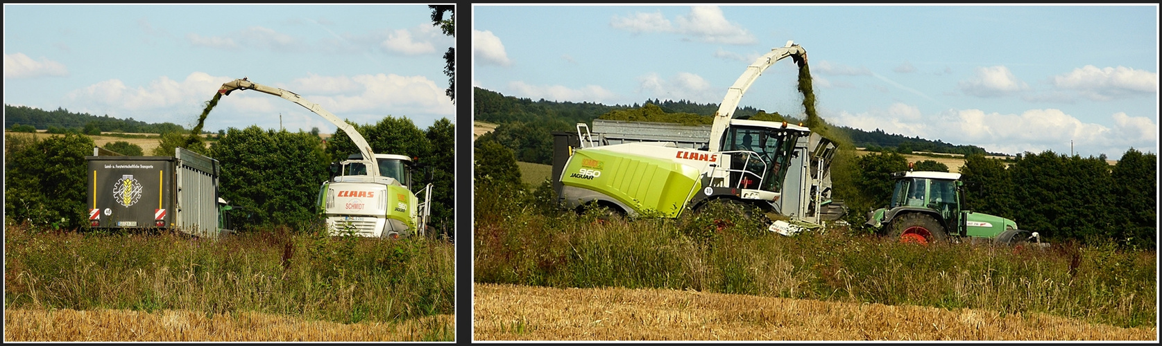2. Schnitt - Grummet wird eingefahren Foto & Bild | natur, landschaft ...