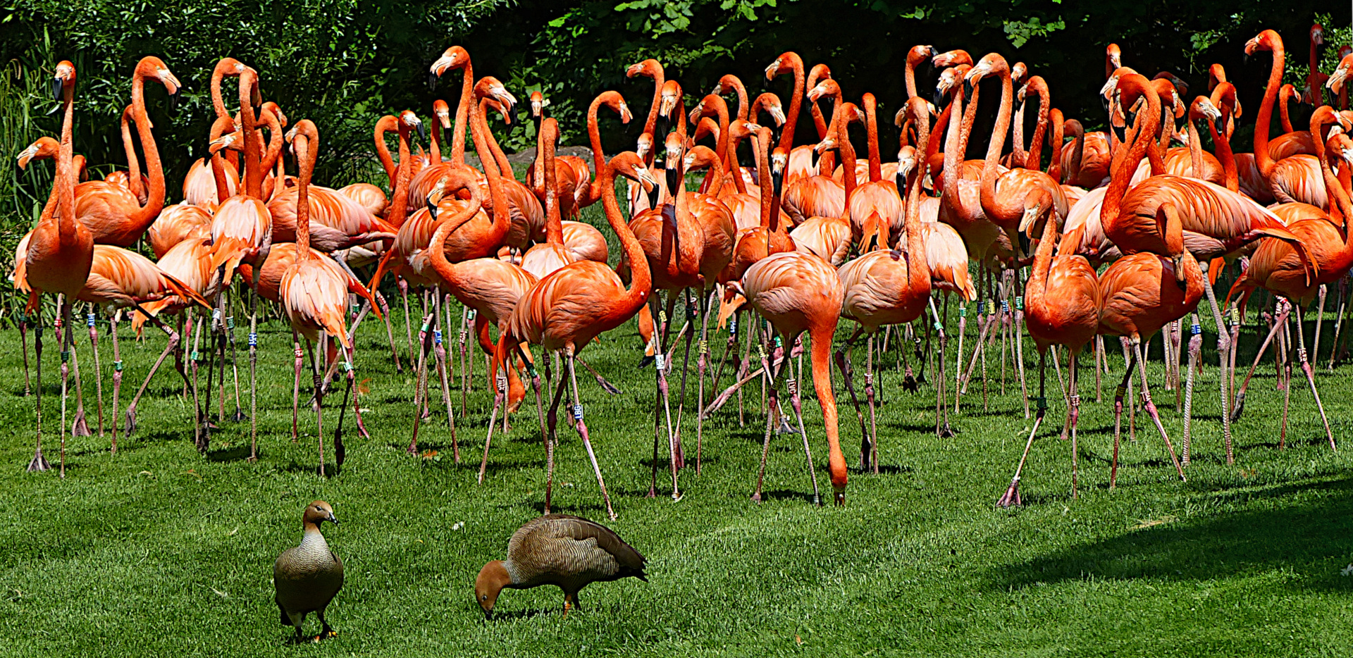 2 sind aber anders Foto & Bild | reportage dokumentation, tiere, zoo ...