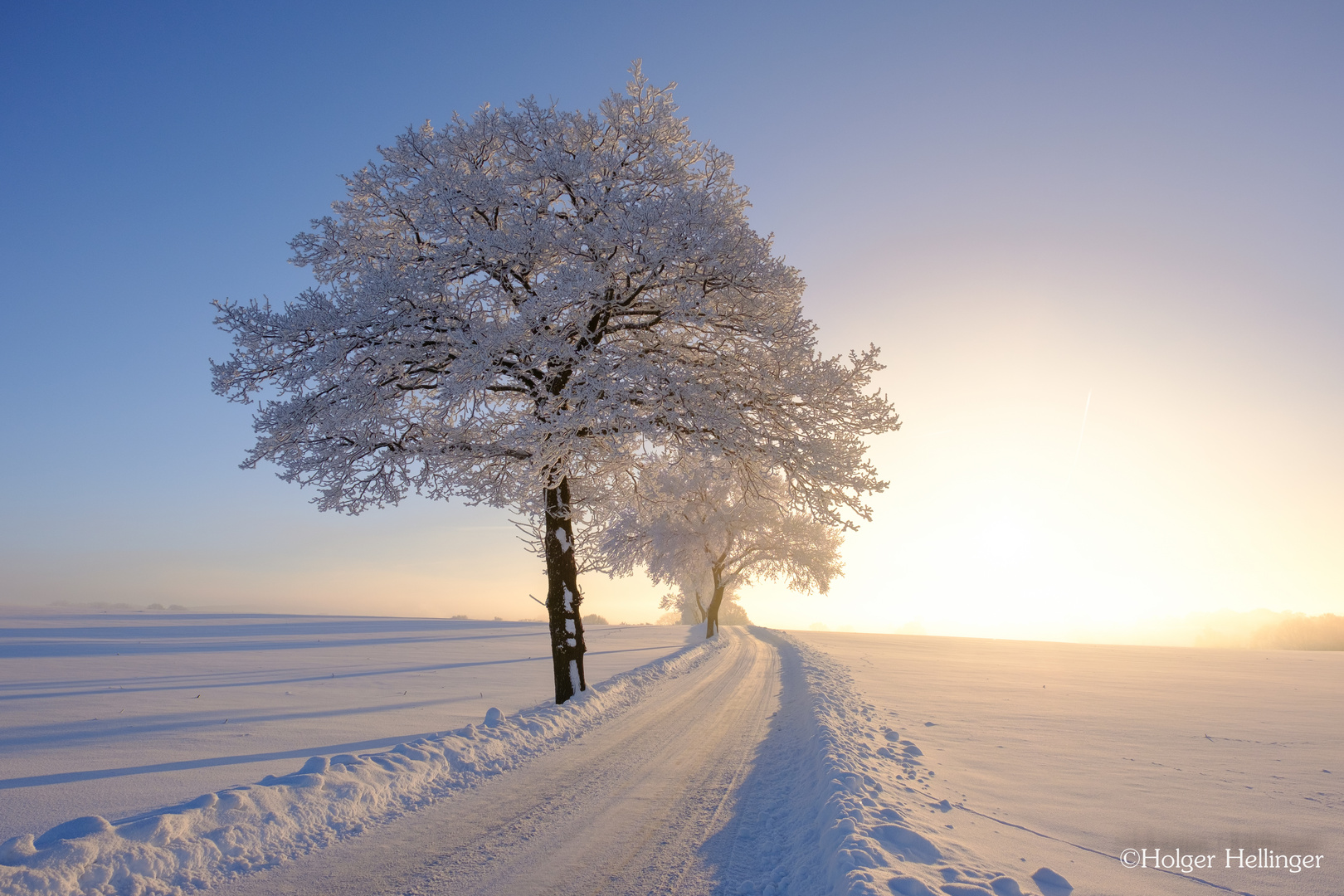 - 20 Grad unter null - Foto & Bild | jahreszeiten, winter, kalt Bilder ...