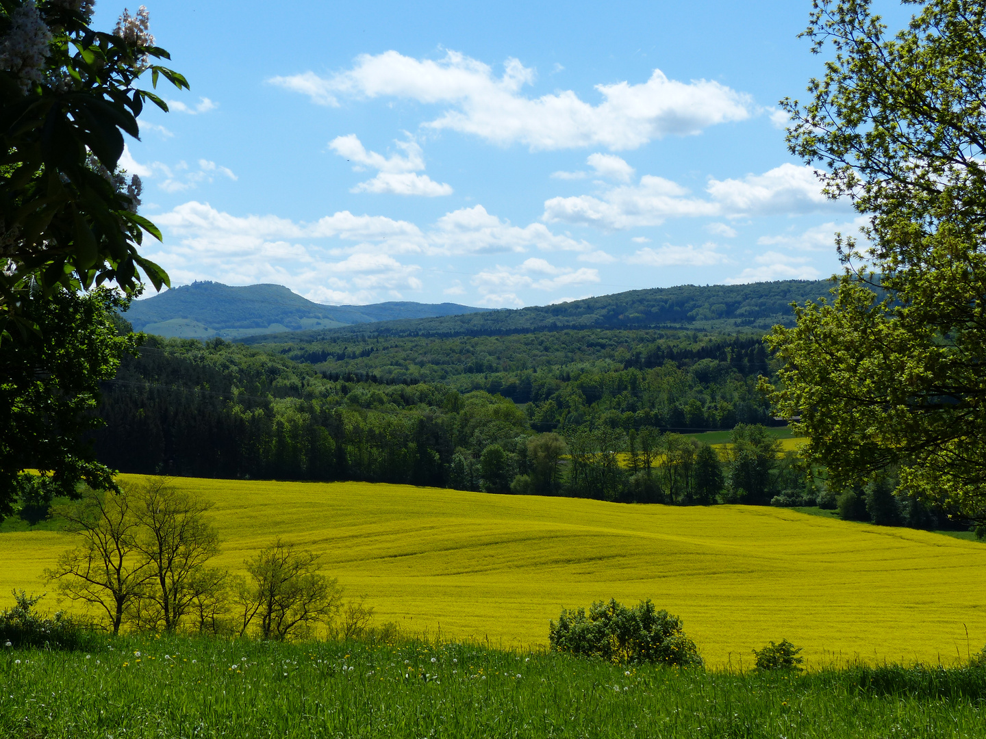 2013-05-18; Oberboihingen; Ausblick am Tachenhäuser Hof Foto & Bild ...