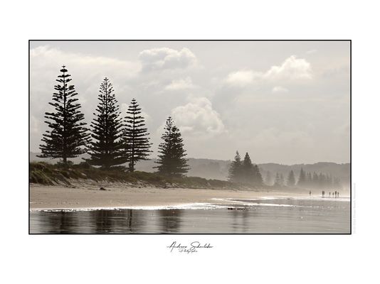 New Zealand Bilder & Fotos