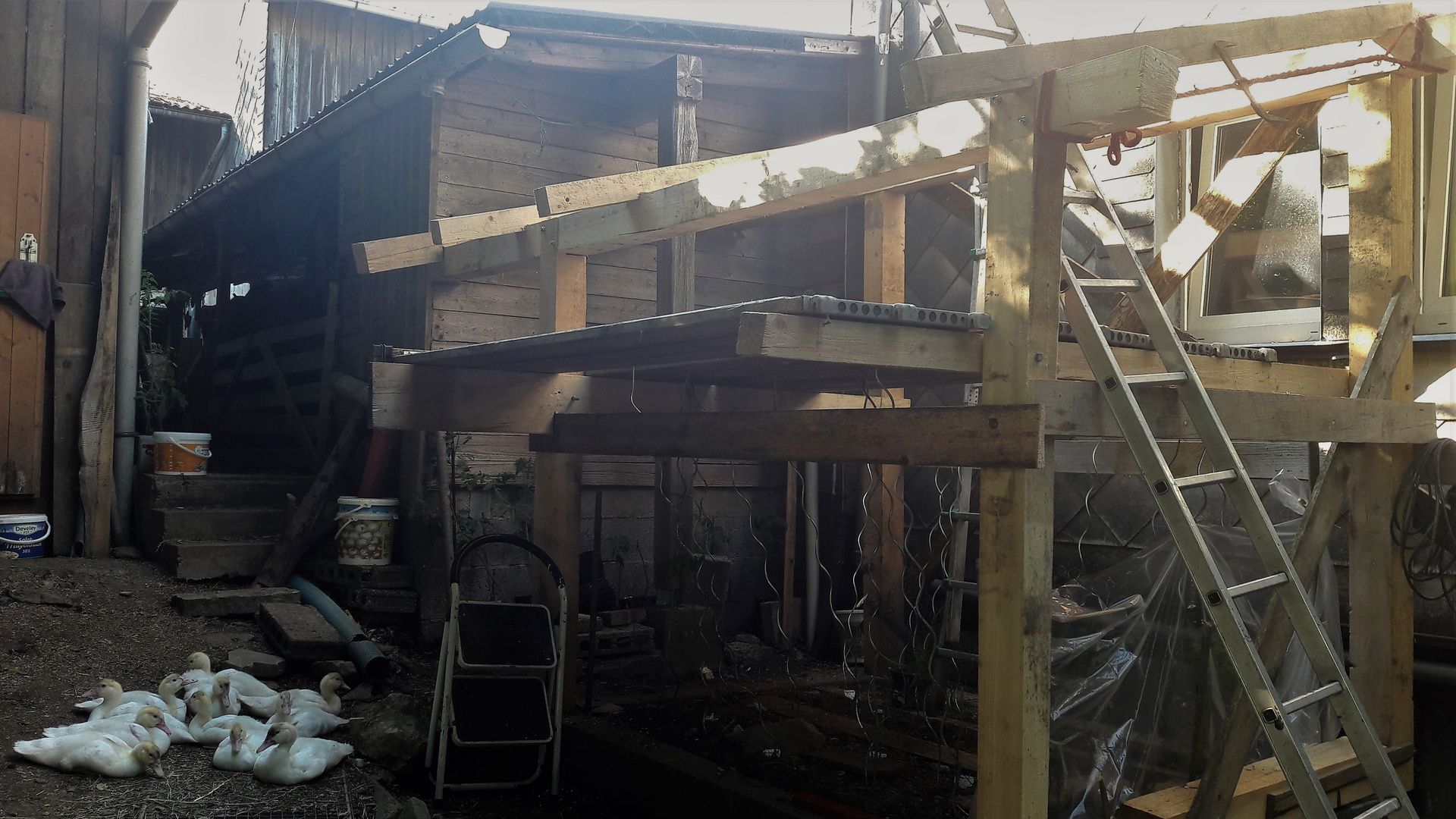 20210617 Baustellenbewachung trotz Hitze nach Feierabend Foto & Bild ...