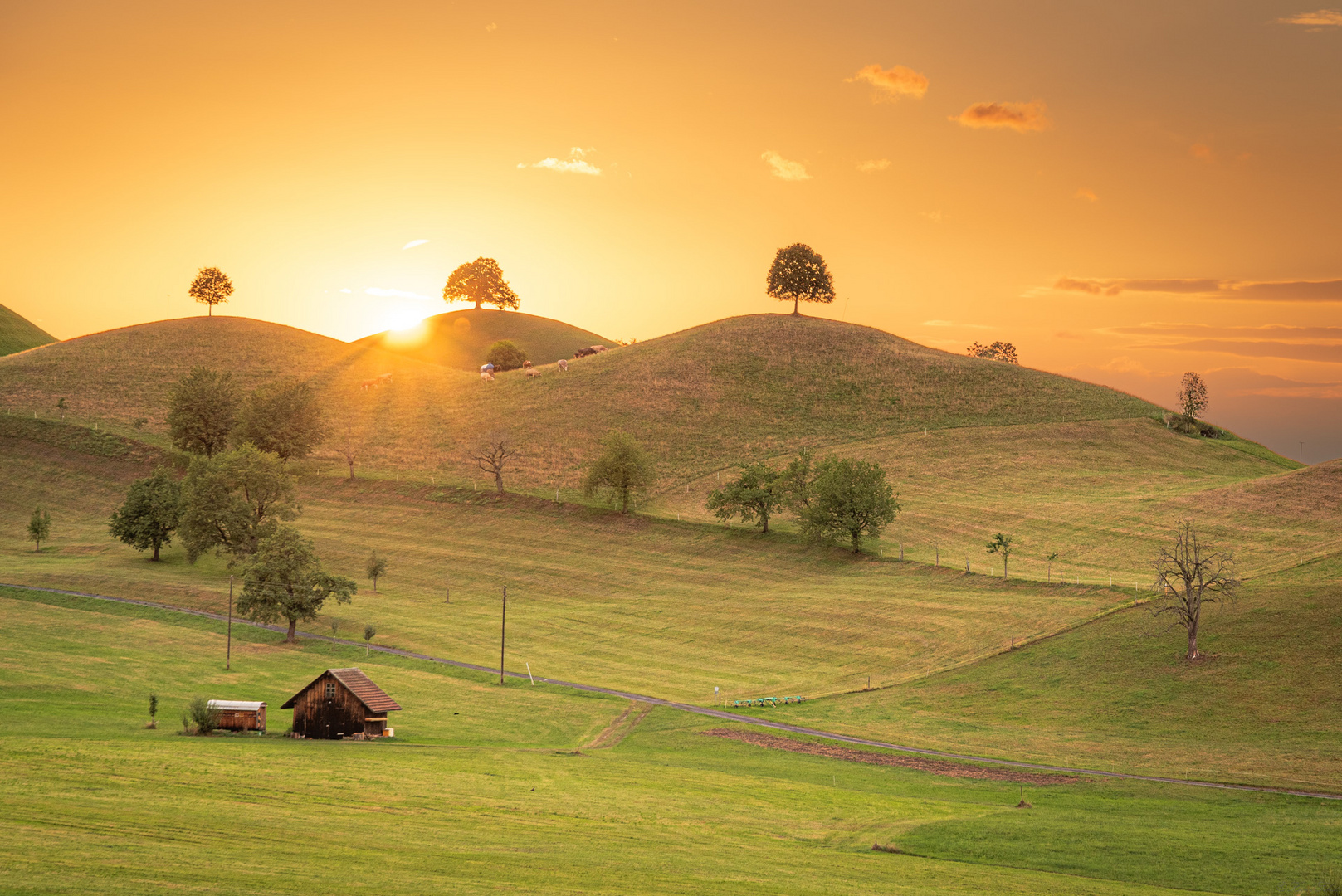 2022_08_15_Drumlins von Hirzel-0500 Foto & Bild | europe, schweiz ...