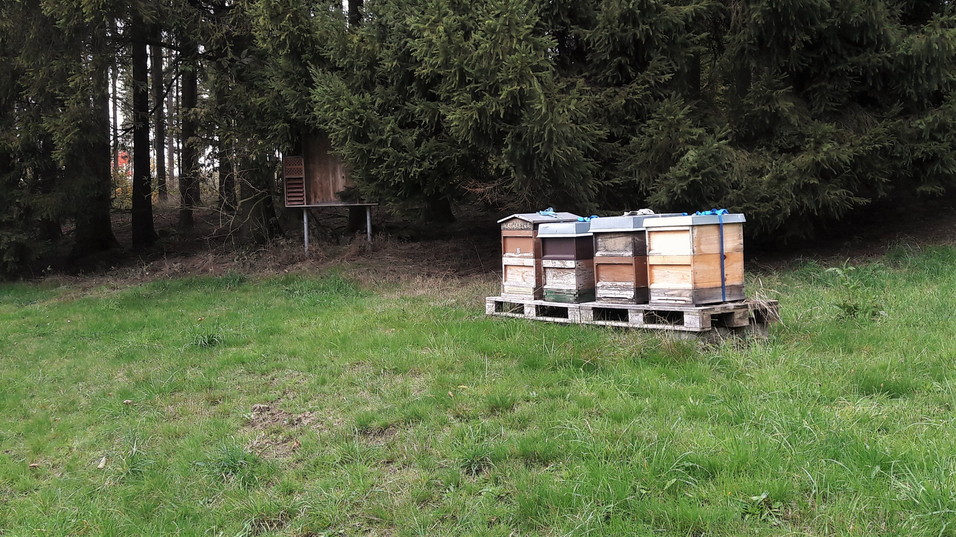 20221007 Bienenstöcke und Insektenhotel Foto & Bild | outdoor, natur ...