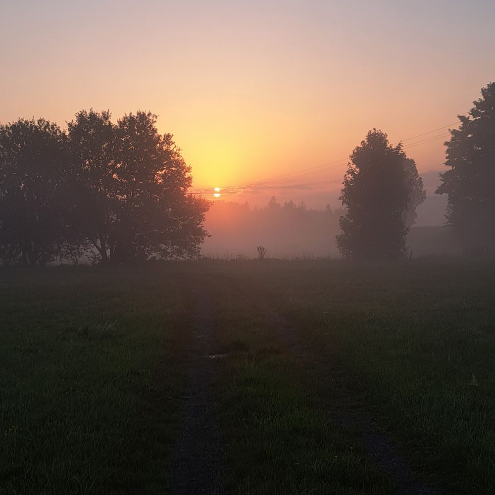 20230821 Donnerstag mit Durchblick: Sonnenaufgang über dem Nebel Foto & Bild | spezial, mystisch ...