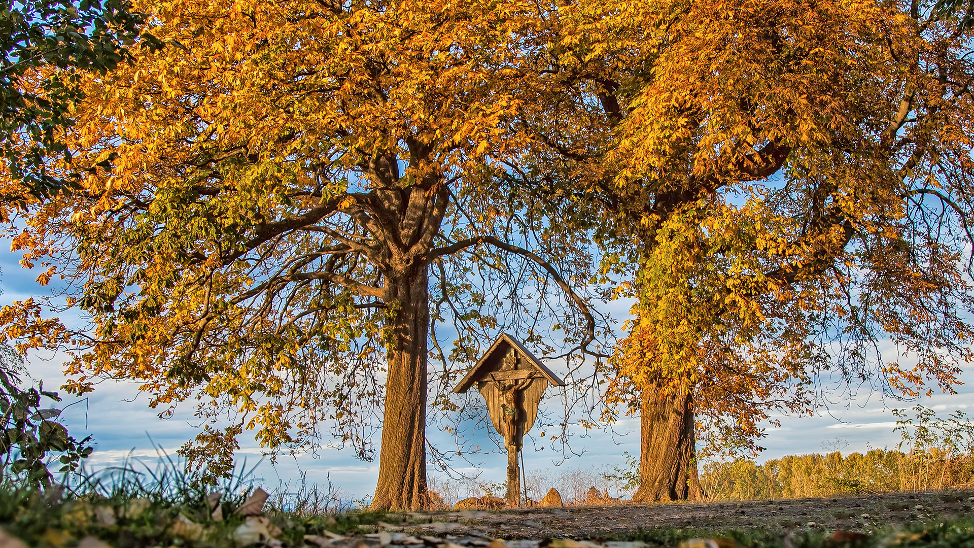 2025-09-26 start of autumn Foto & Bild | jahreszeiten, herbst, natur ...