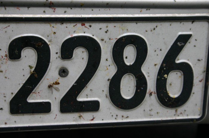 2286- The Number Of The Beast! Foto & Bild | tiere, wildlife, insekten ...