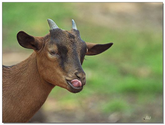 Natur, Naturbilder, Naturfotografie