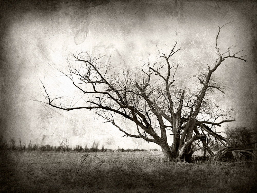 24 Foto & Bild | monochrom, bearbeitungs - techniken, art Bilder auf ...