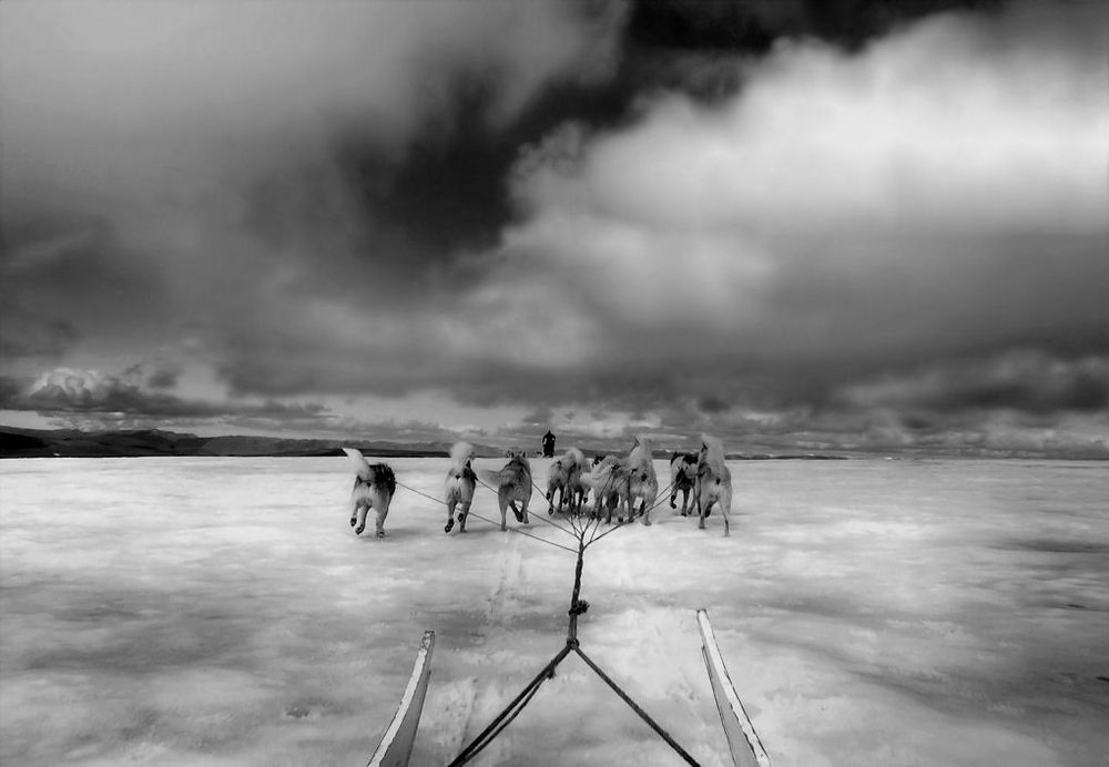 26 Foto & Bild | archiv projekte naturchannel, 02 natur schwarz weiß ...