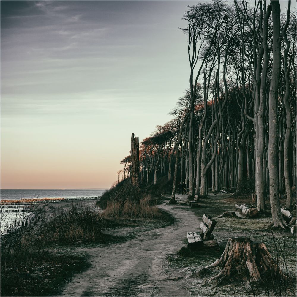 ** Foto & Bild | deutschland, europe, mecklenburg- vorpommern Bilder auf fotocommunity