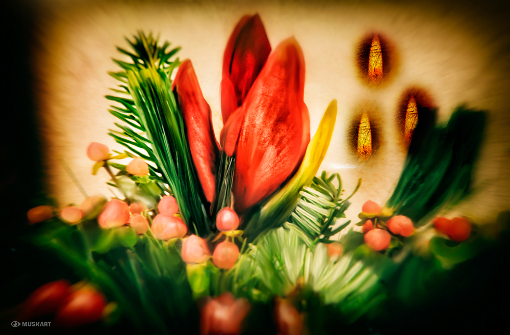 3. Advent Foto & Bild | emotionen, freude, bearbeitungs - techniken ...