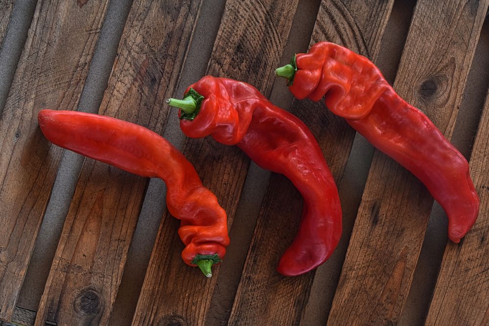 3 mal rot & spitz Foto & Bild | rot, stillleben, farben Bilder auf ...