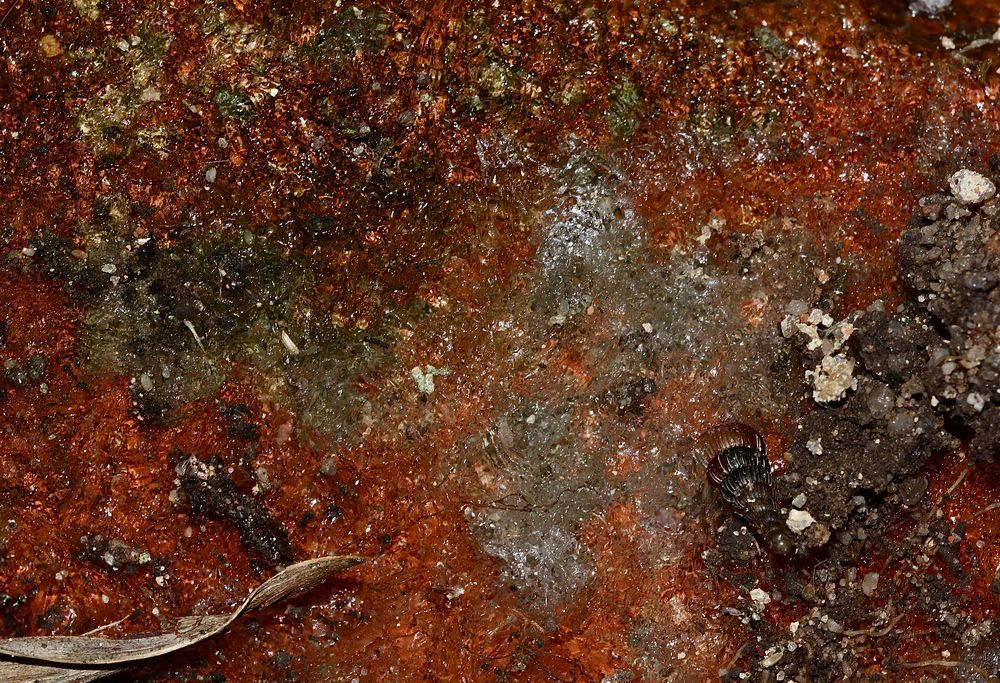 (3) "Pebble ice" im Winter 2024/25 in Neukappl und Binkenhof/Opf ...