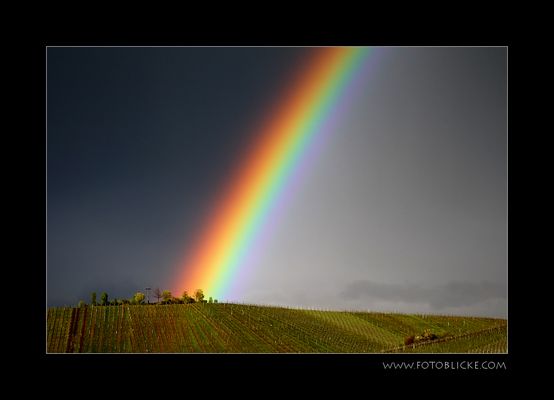 Peter Lohse 1954 -† 2012 Bilder & Fotos