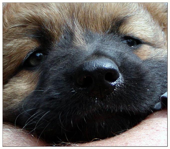 Foto & Bild | nah- & makro, techniken, aufnahme-techniken Bilder auf fotocommunity