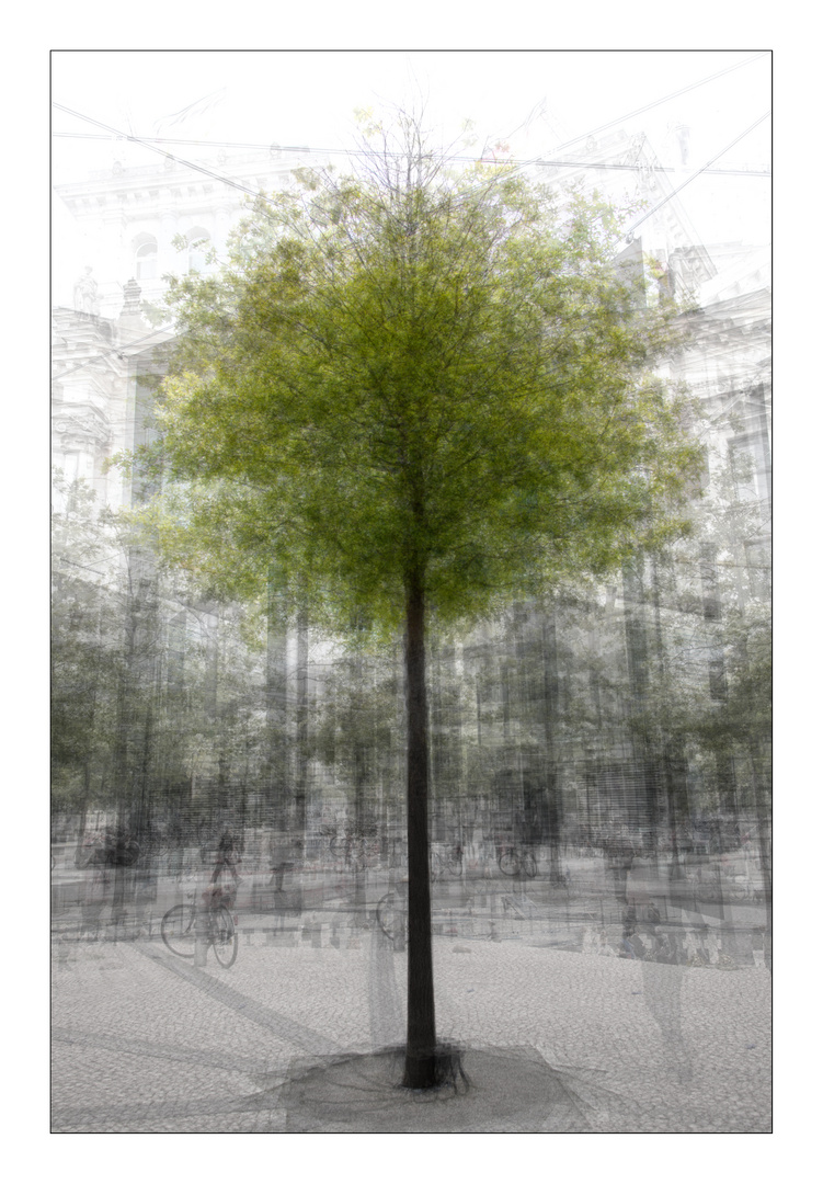 | 360°tree | Foto & Bild | experimente, berlin, 360 grad Bilder auf ...