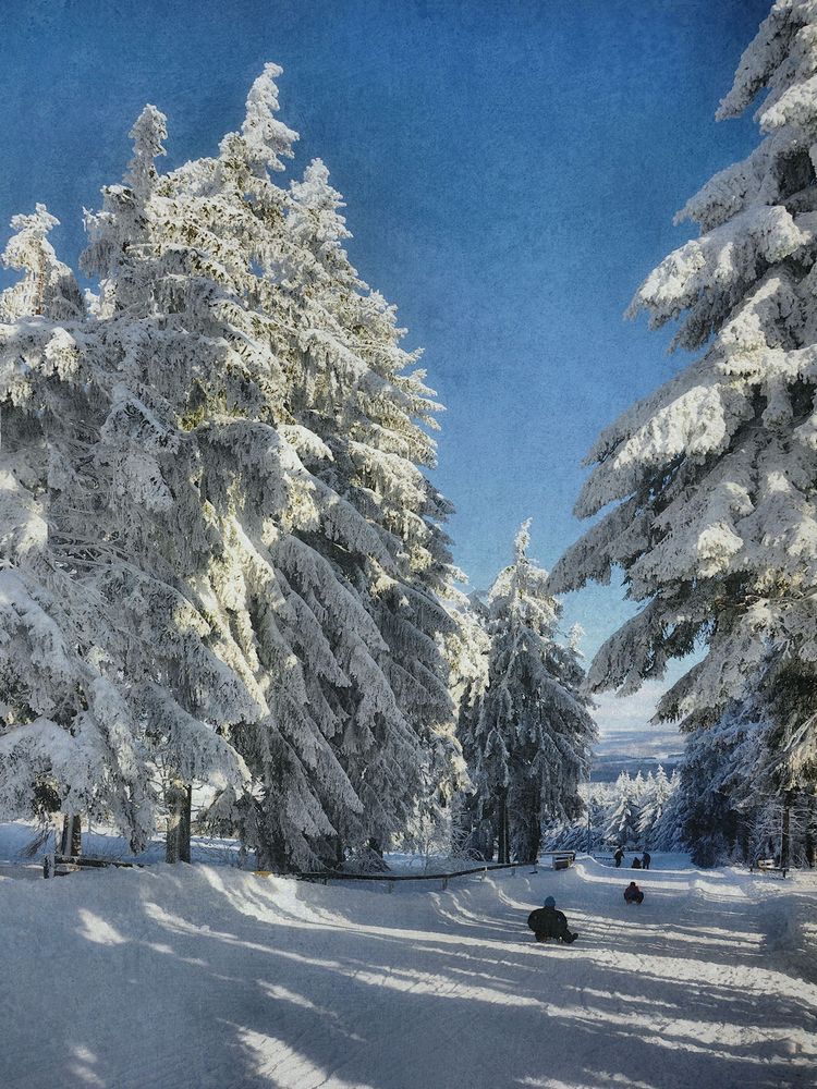 3997comfc | Edith Vogel Fotografie